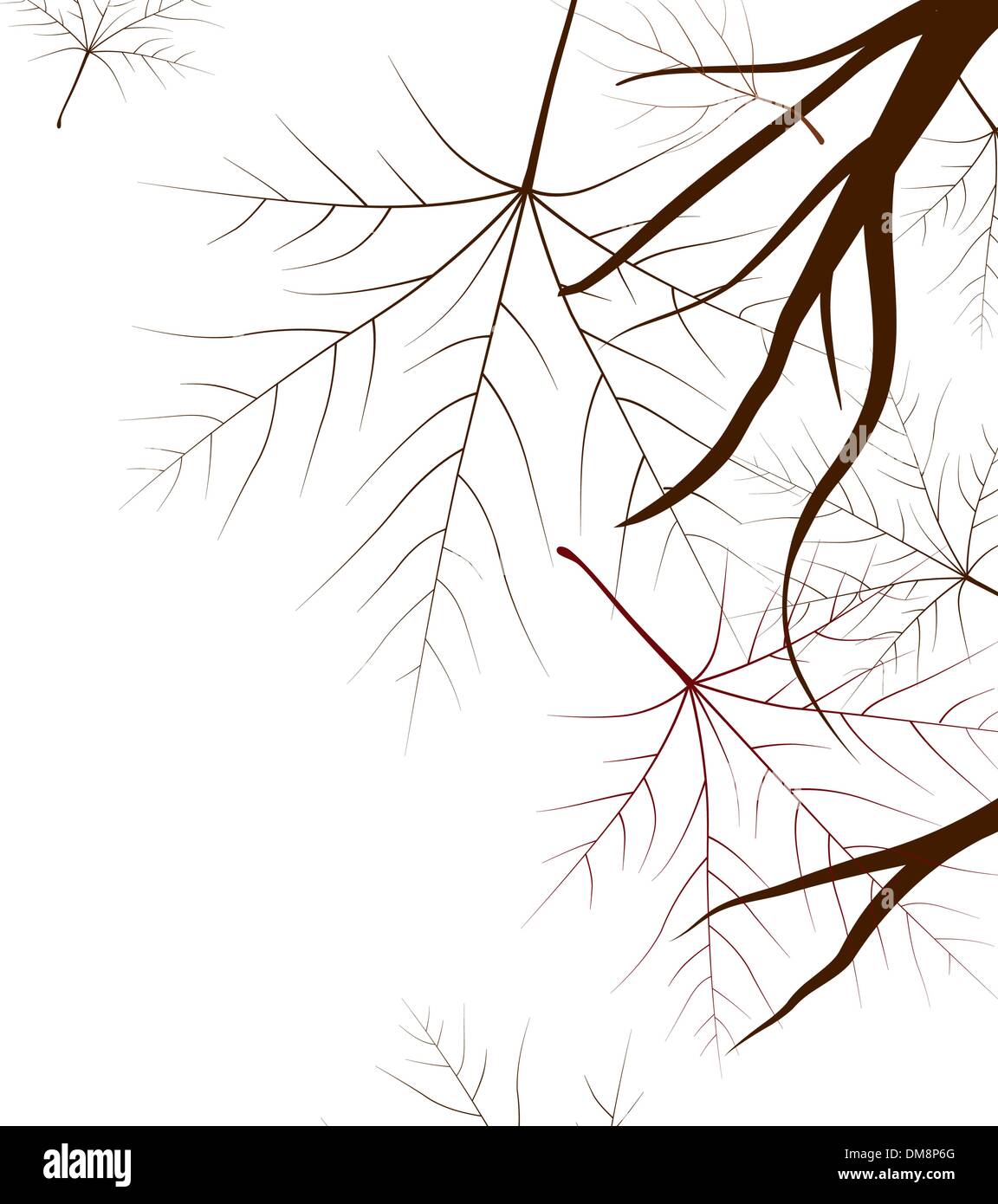 Red leaves plants Stock Vector Images - Alamy