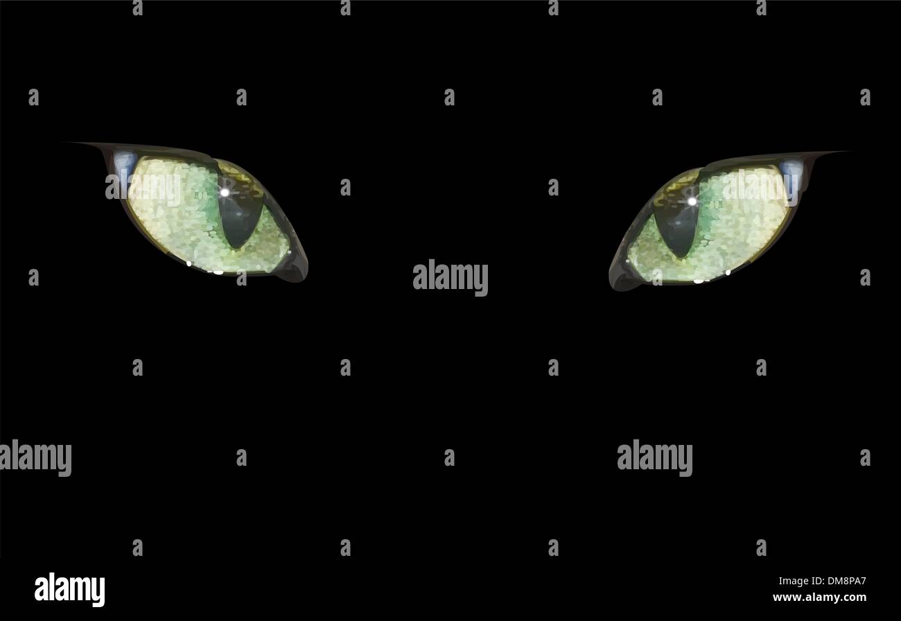 Close up cat in Stock Vector Images - Alamy