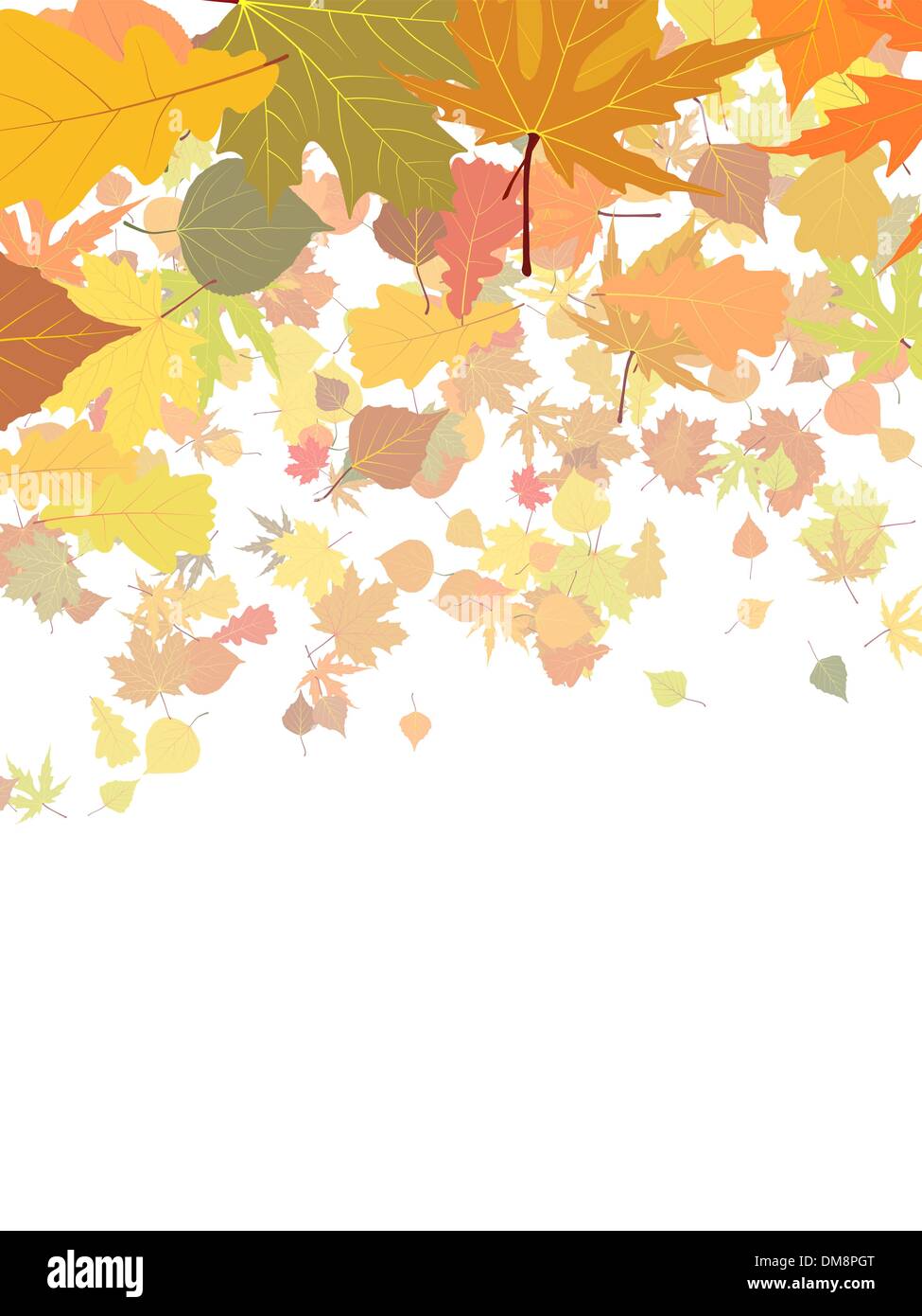 Vibrant autumn foliage colors Stock Vector Images - Alamy