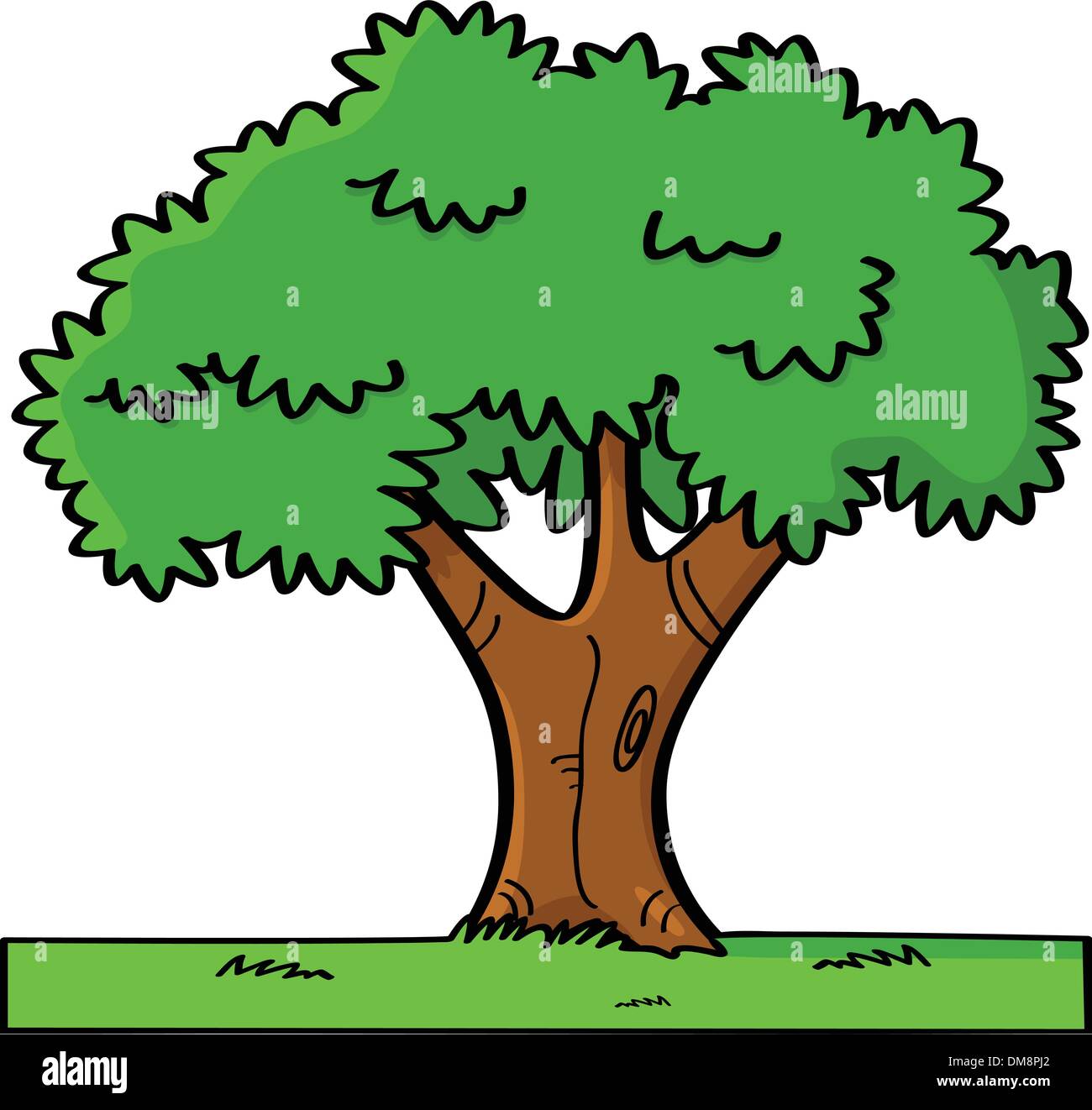 Tree reflection in spring Stock Vector Images - Alamy