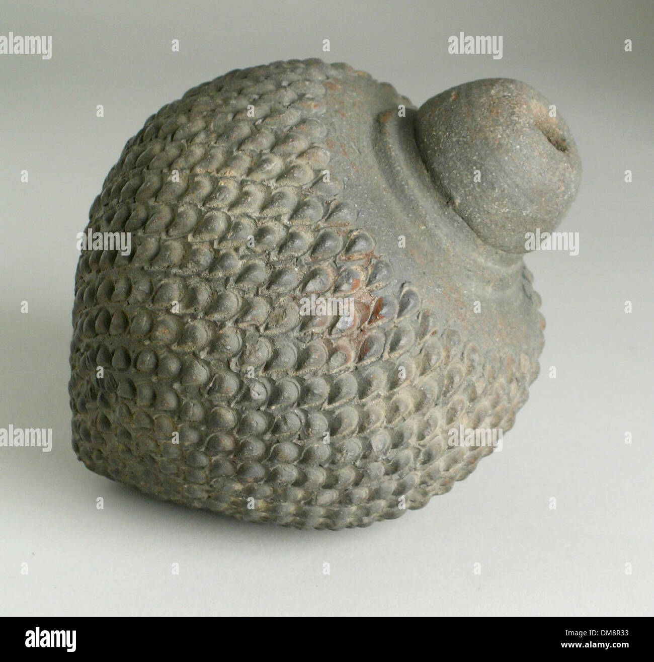Conical vessel hi-res stock photography and images - Alamy