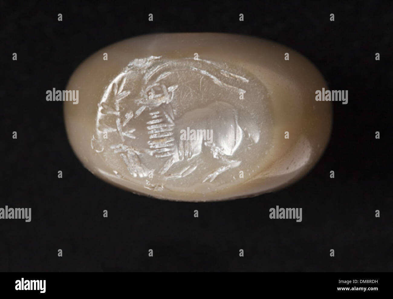 Ancient Roman Stamp High Resolution Stock Photography and Images - Alamy