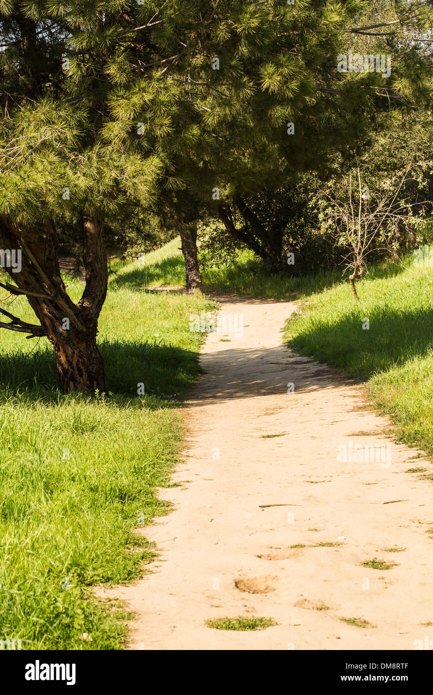 Hiking trail in park Stock Photo - Alamy
