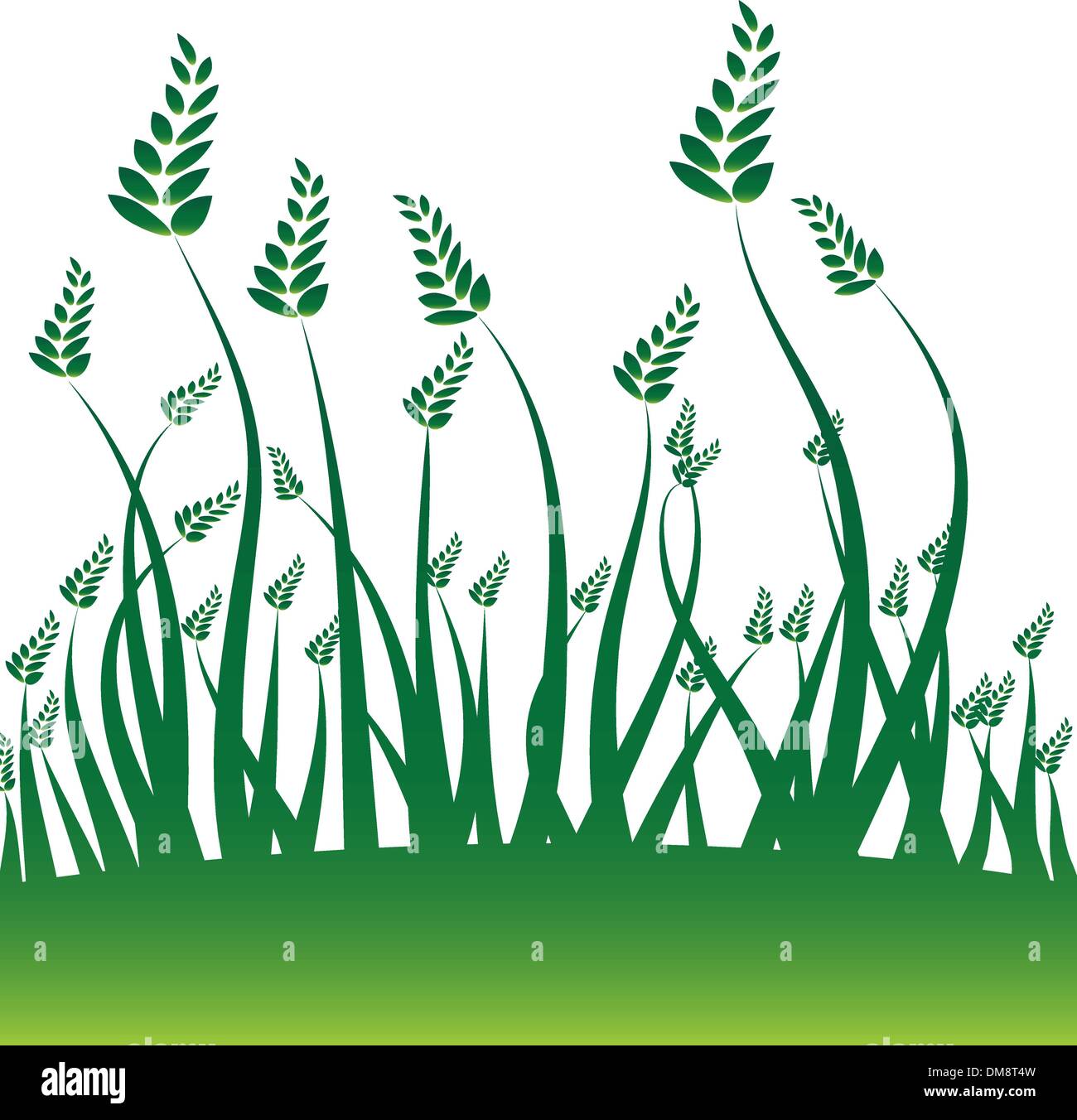 Wheat Grain Background Stock Vector Image & Art - Alamy