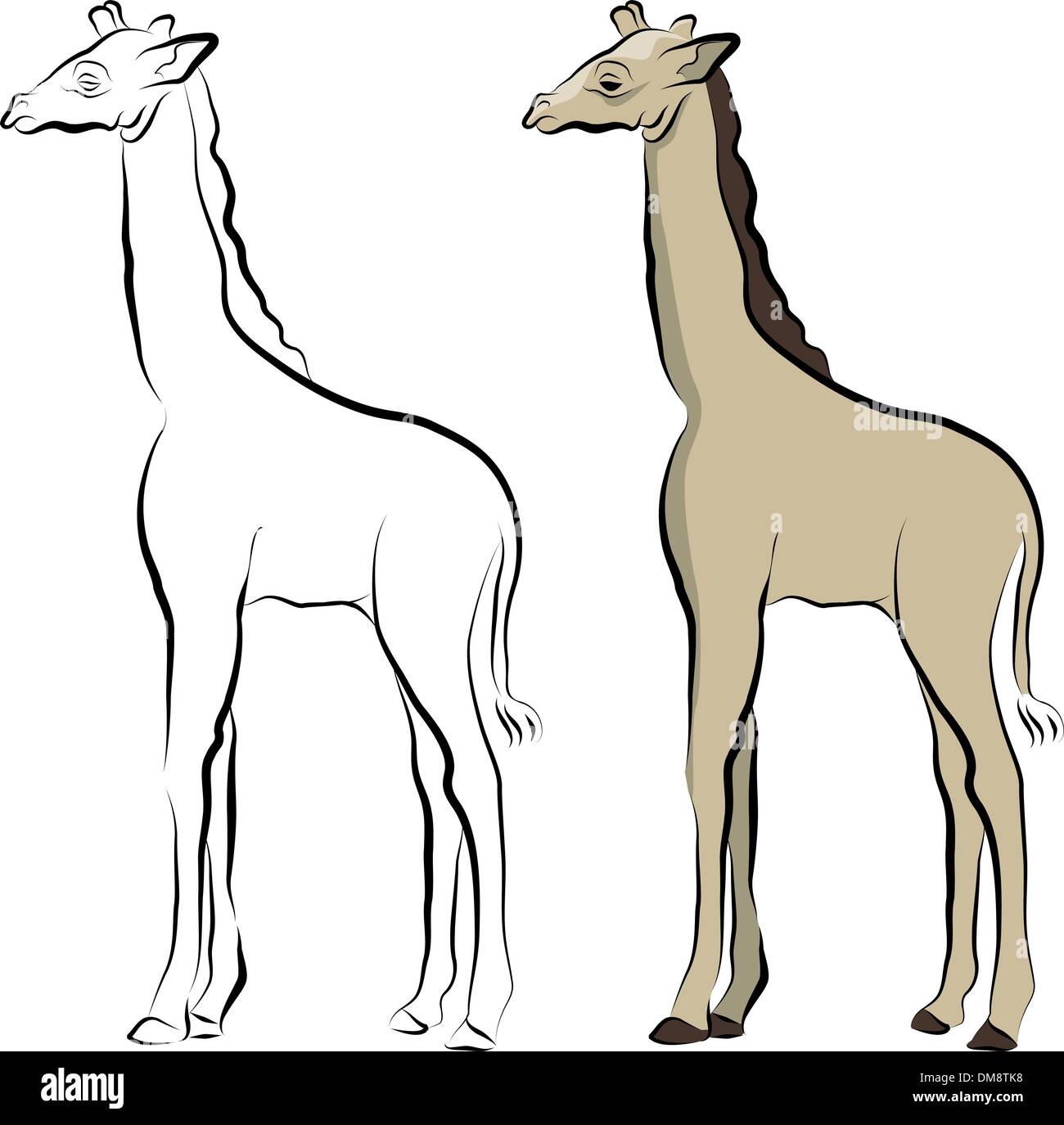 Elegant giraffe Stock Vector Images - Alamy