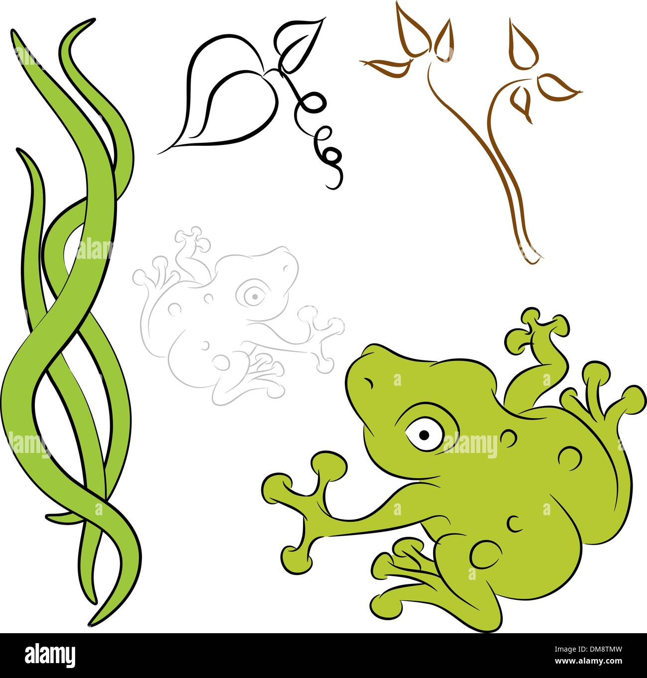 Frog Vine Natural Elements Stock Vector Image & Art - Alamy