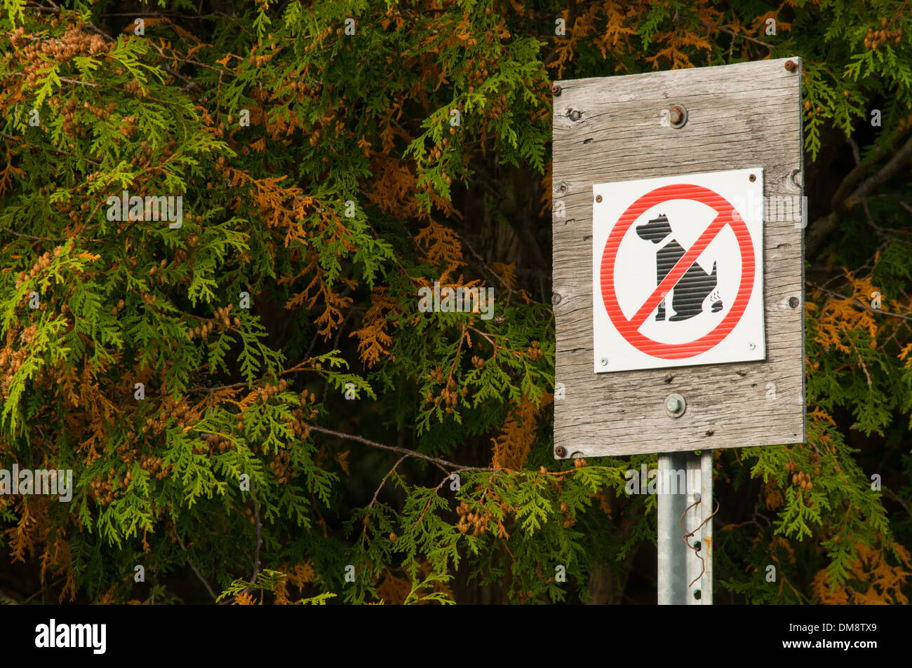 Dog litter sign hi-res stock photography and images - Alamy