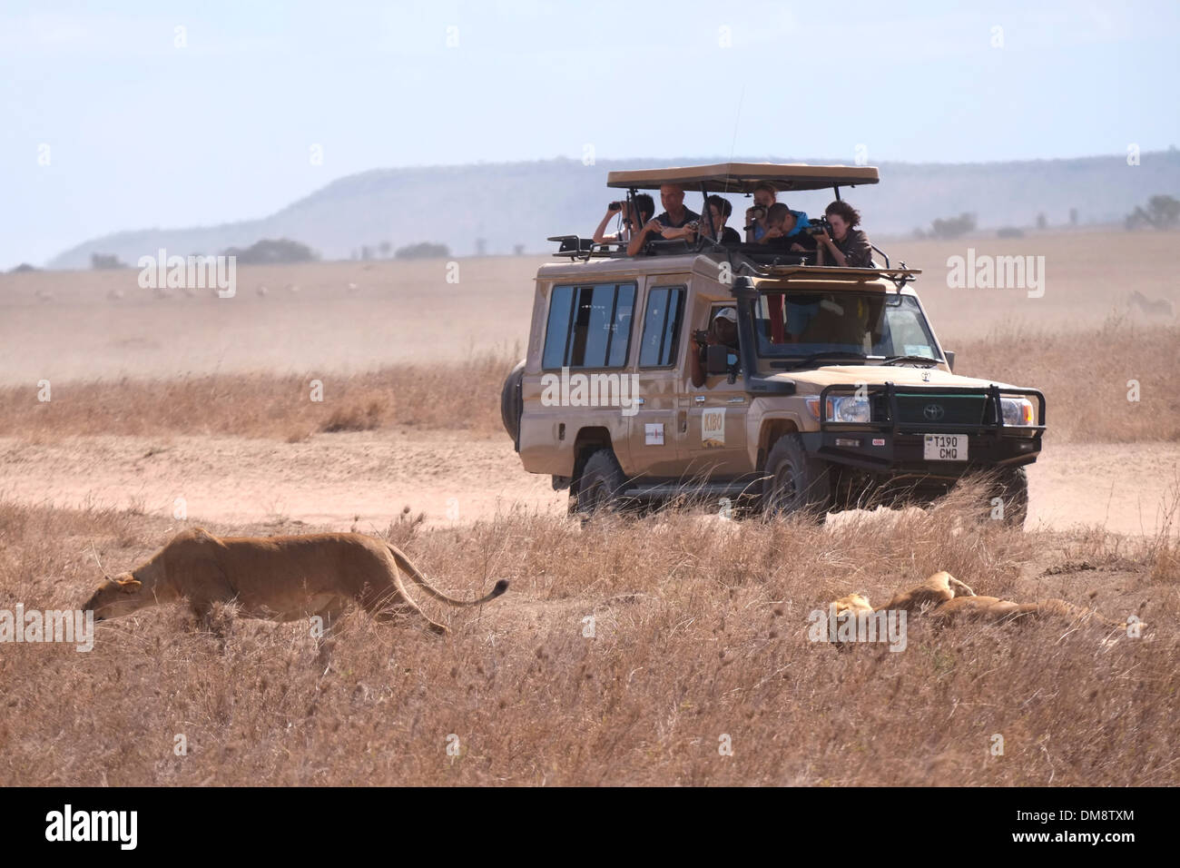 Toyota Safari Vehicle High Resolution Stock Photography and Images - Alamy
