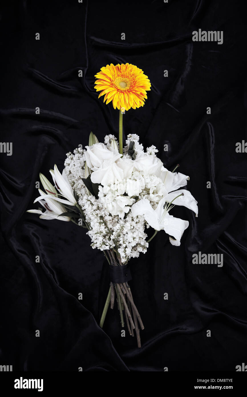 Velvet soft flower hi-res stock photography and images - Alamy