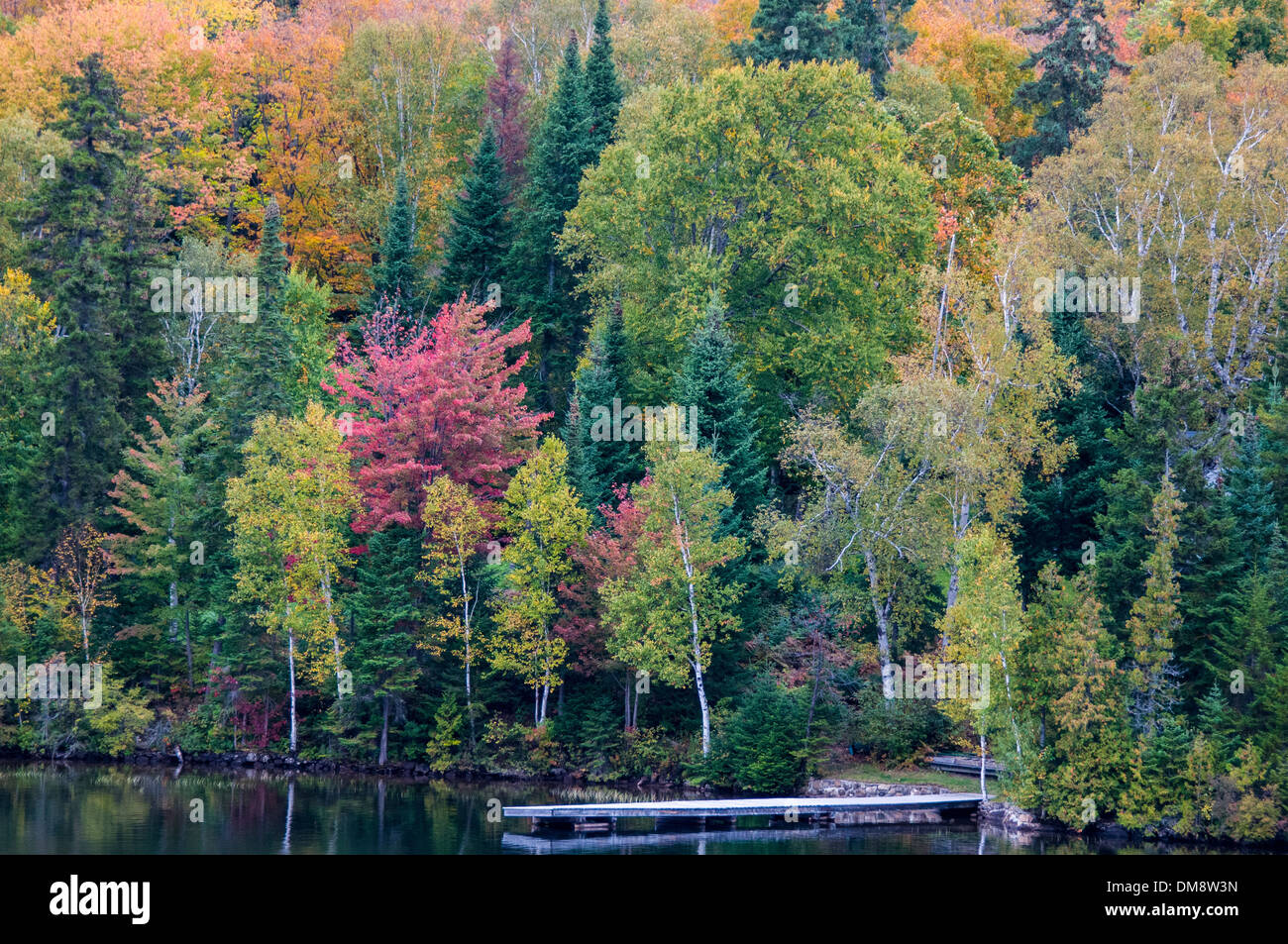 Canada quebec autumn foliage hi-res stock photography and images - Alamy