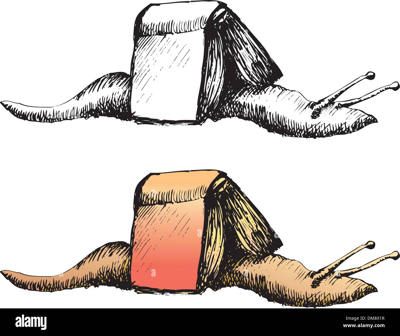 Literacy open book Stock Vector Images - Alamy