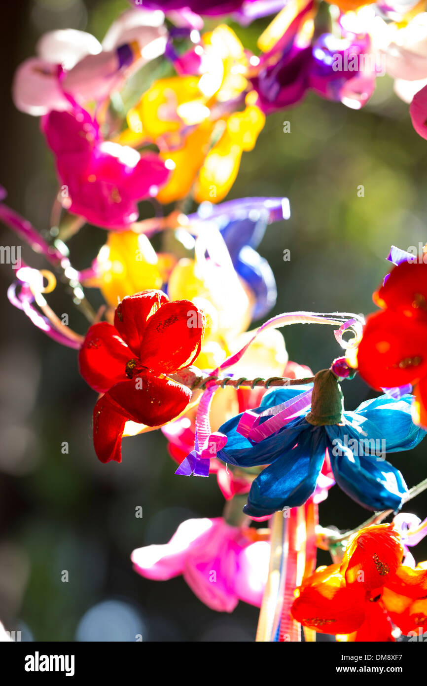 Bright & Colorful Flowers, Close-up Stock Photo - Alamy