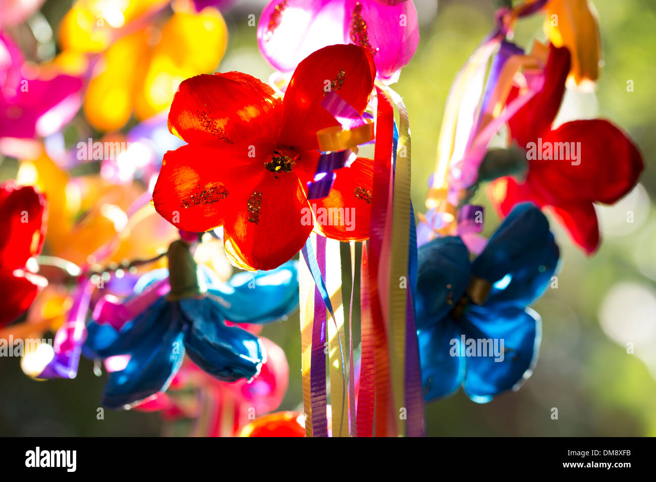 Selective focus bright colorful hi-res stock photography and images - Alamy