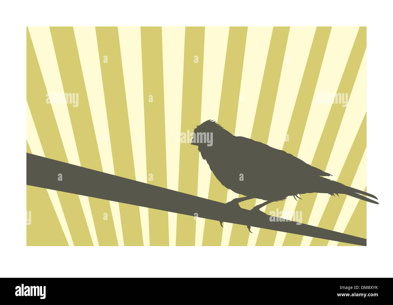 Standing bird silhouette Cut Out Stock Images & Pictures - Alamy