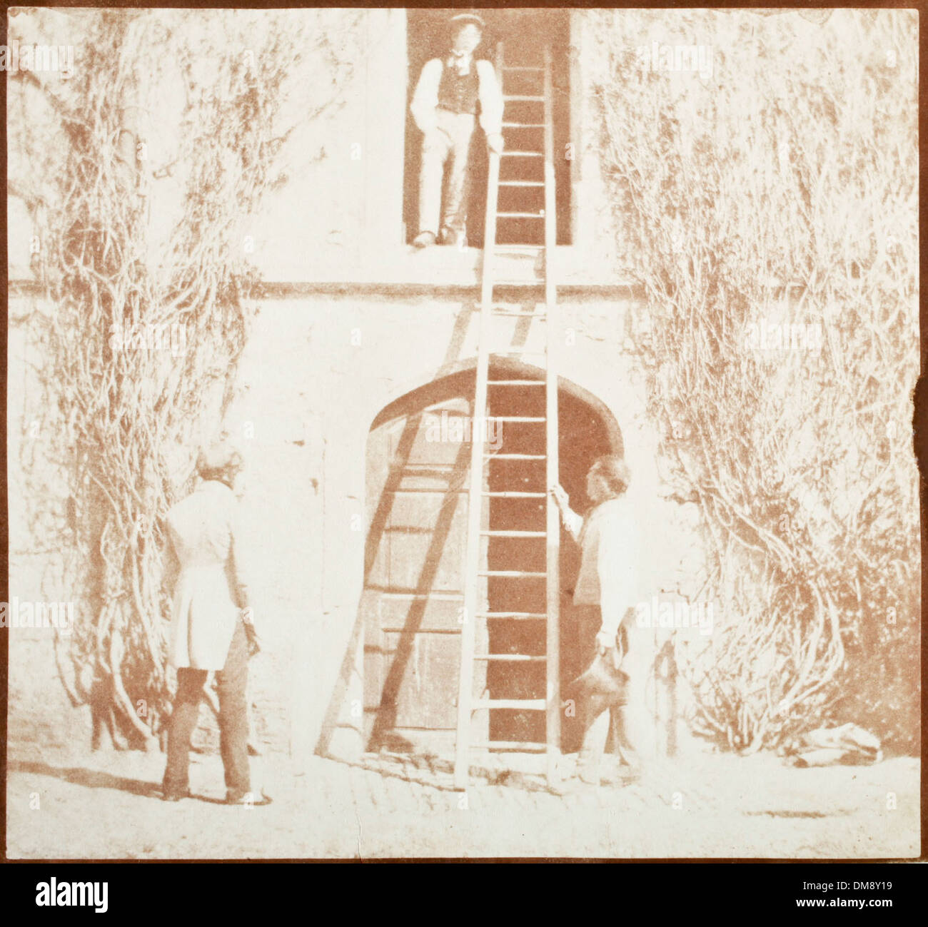 'The Ladder' is a piece from the collection of Ancient and Islamic Art ...