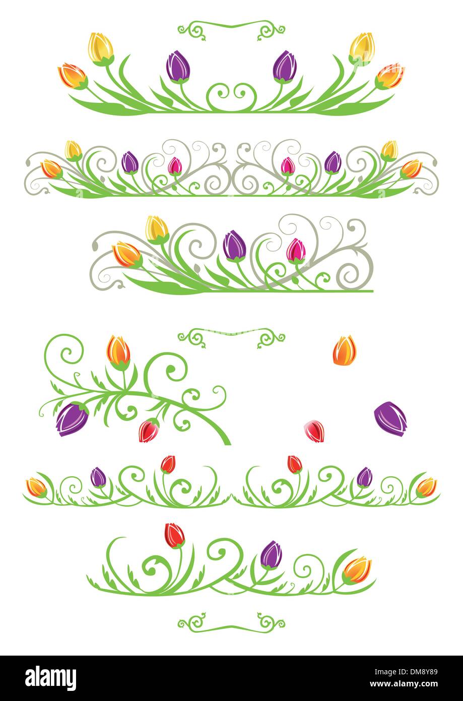 Tulip spring borders Stock Vector Image & Art - Alamy