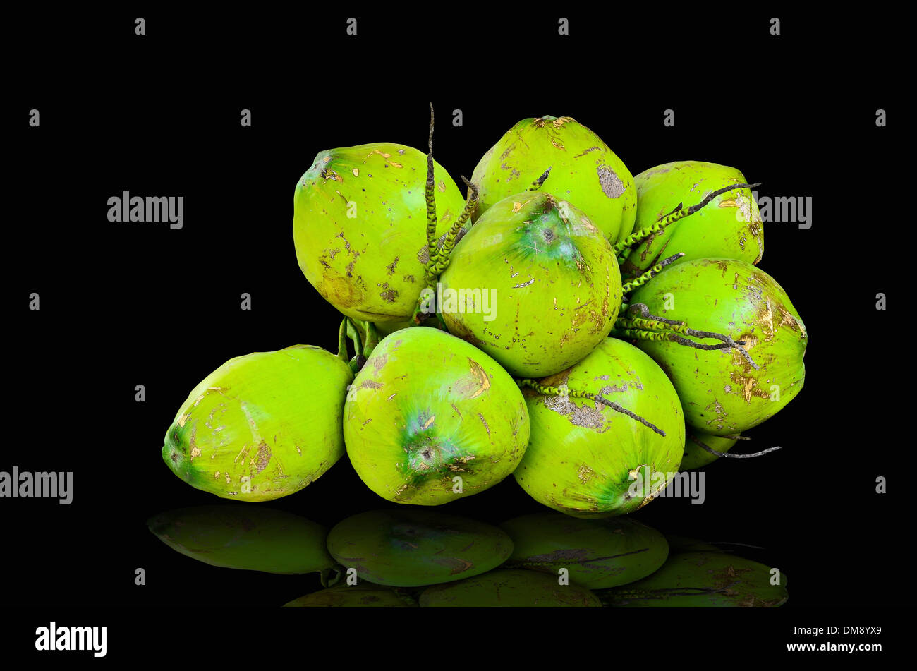 Group of green coconuts on black background Stock Photo - Alamy
