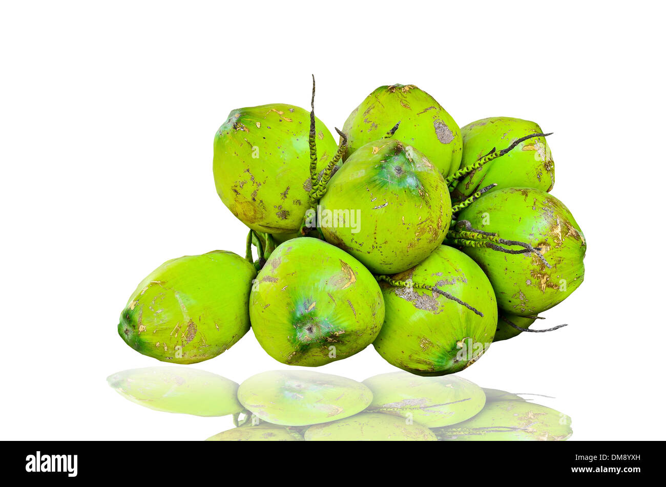 Group of green coconuts on white background Stock Photo - Alamy
