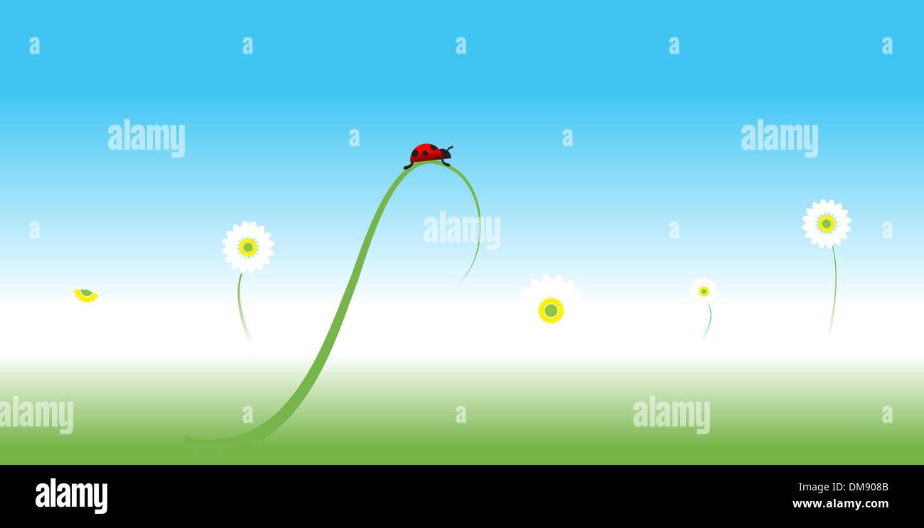 Ladybug, spring background Stock Vector Image & Art - Alamy