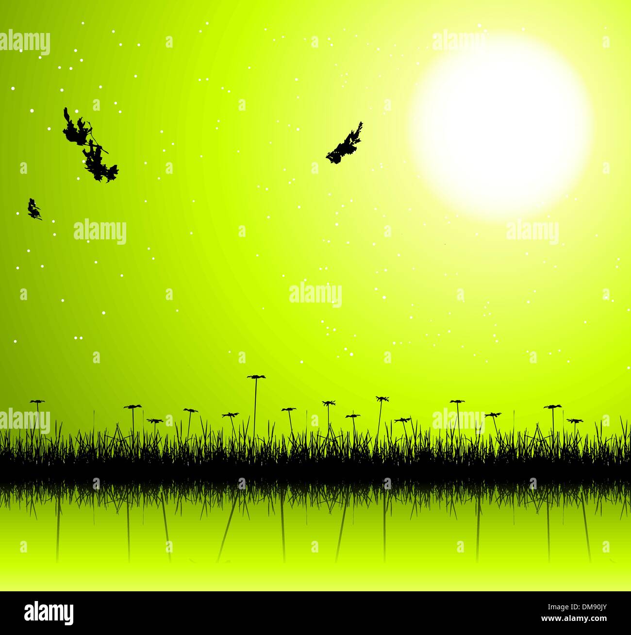 Morning sun star hi-res stock photography and images - Alamy