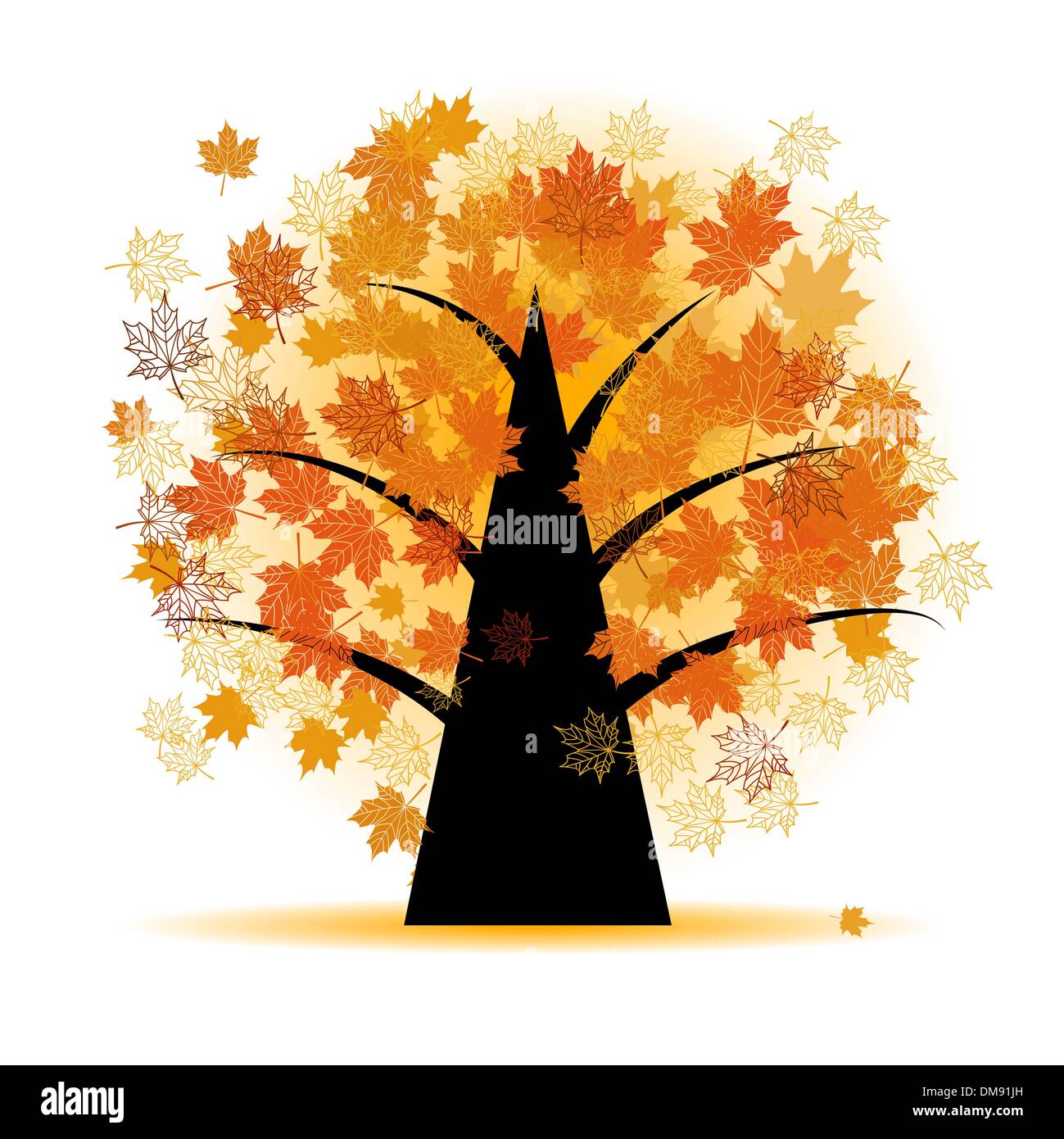 Black maple autumn leaf Stock Vector Images - Alamy