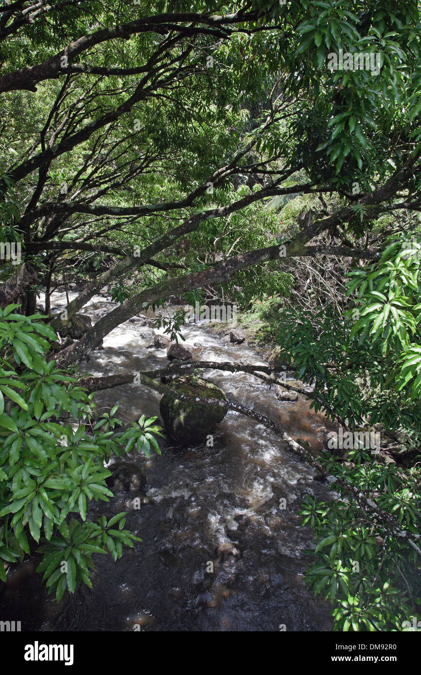 Highway 19 hawaii hi-res stock photography and images - Alamy