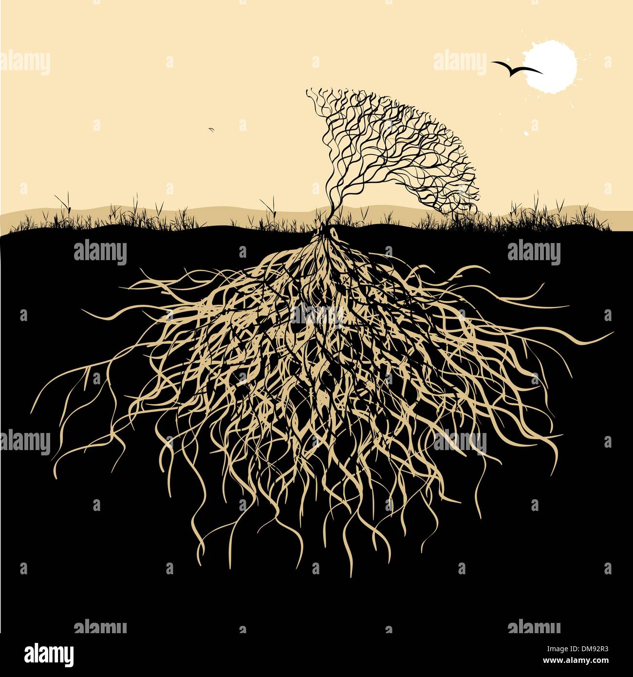 Black tree silhouette illustration roots hi-res stock photography and ...