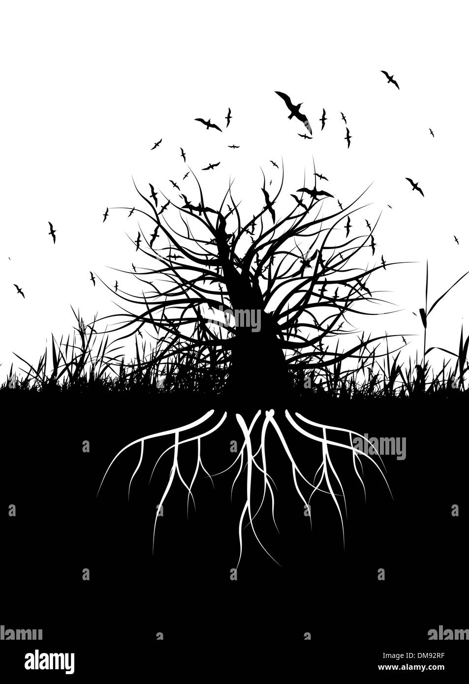 Tree silhouette with roots Stock Vector Image & Art - Alamy