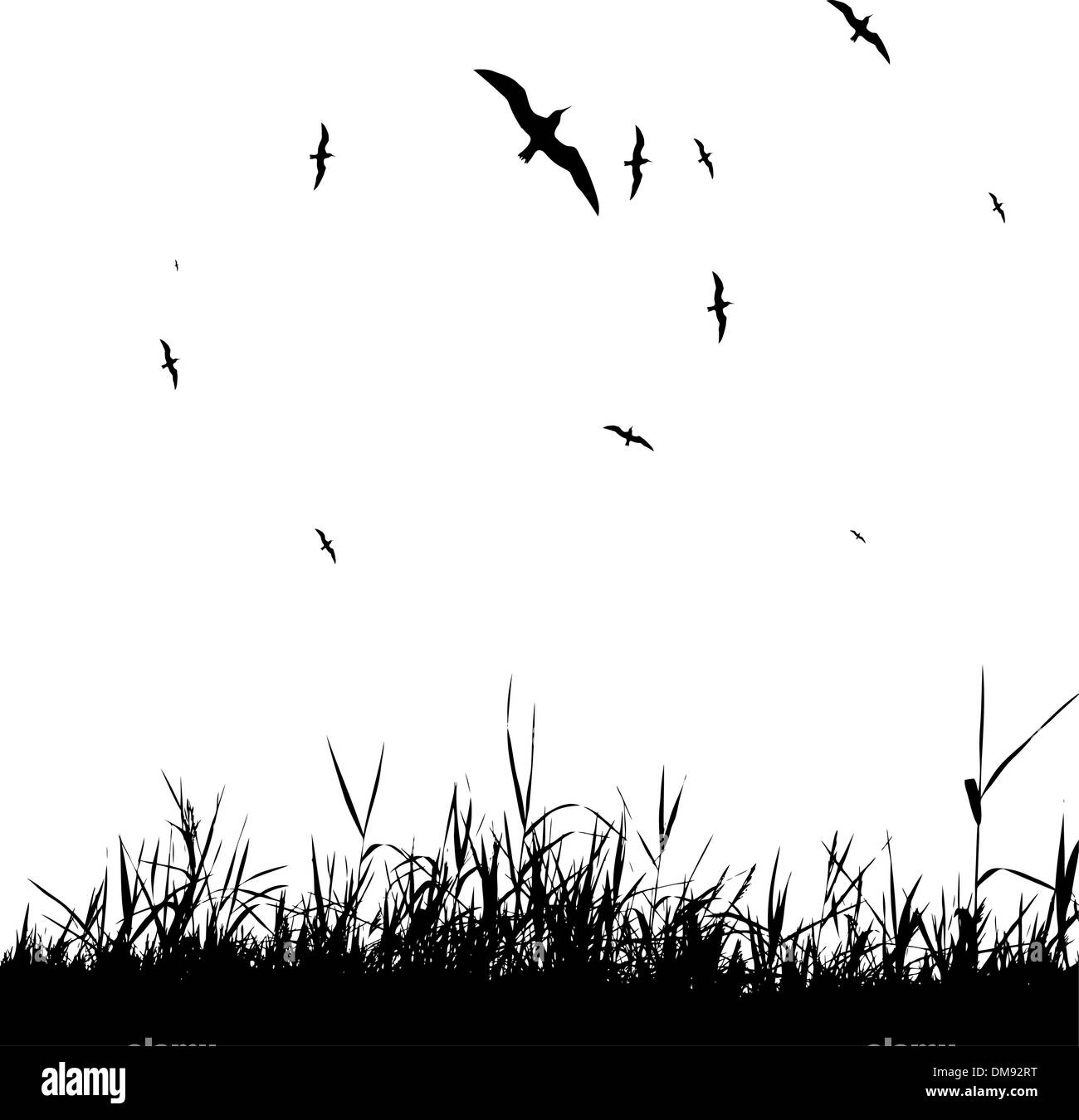 Clear nature Black and White Stock Photos & Images - Alamy