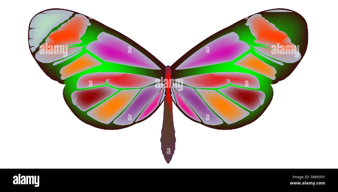 Bright colored butterfly Stock Vector Images - Alamy