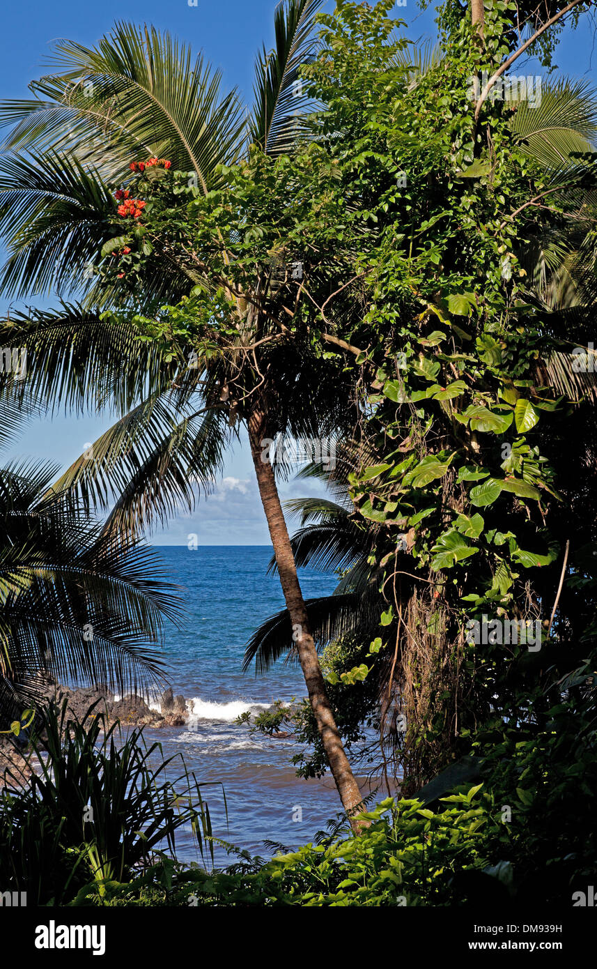Onomea Bay from an ocean-front trail at the Hawaii Tropical Botanical ...