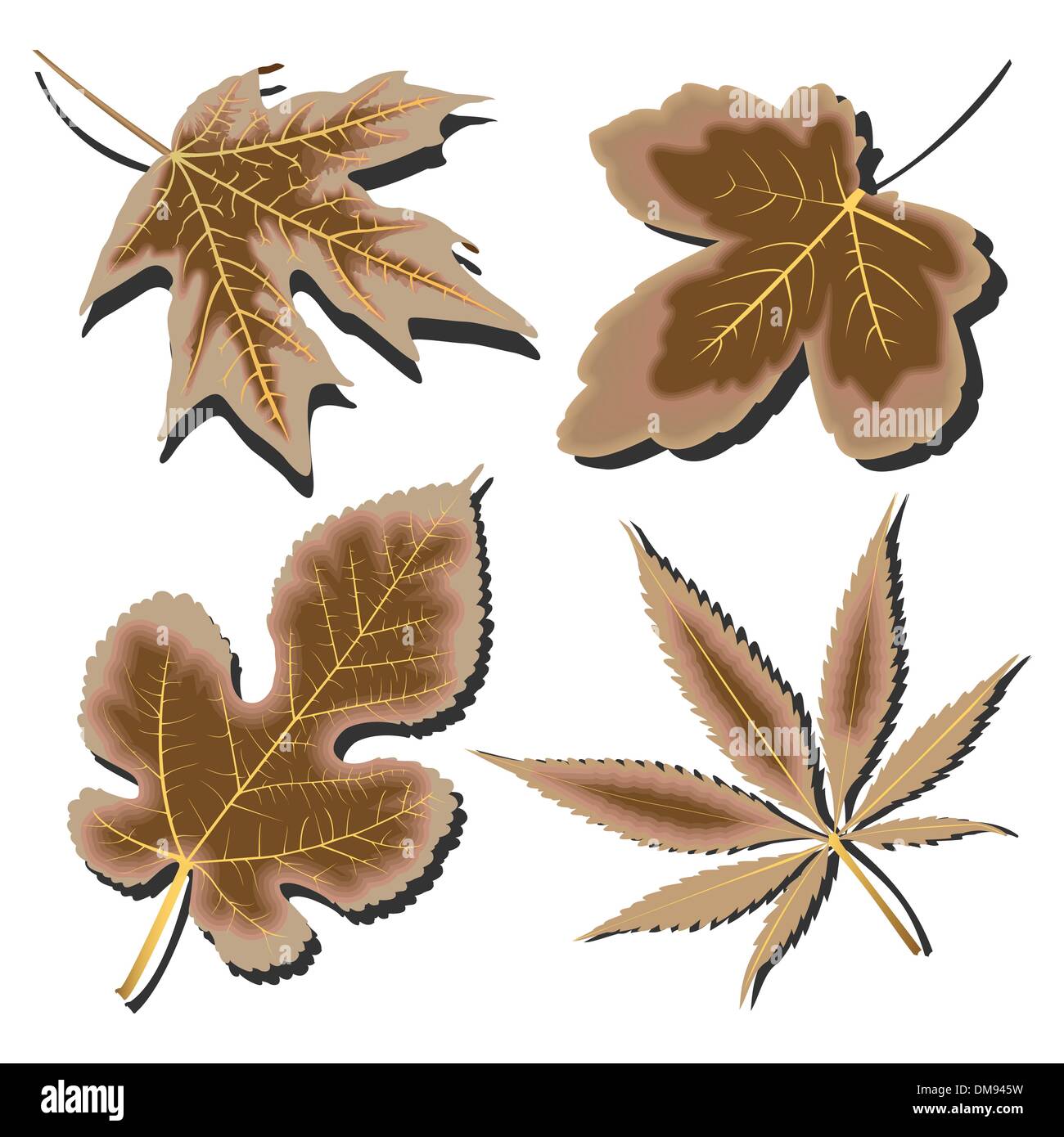 Autumn against background autumn leaves Cut Out Stock Images & Pictures ...