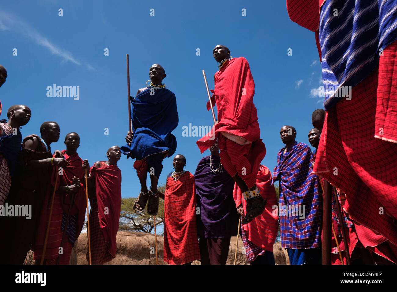 A group of Maasai men taking part in the traditional Adumu dance ...