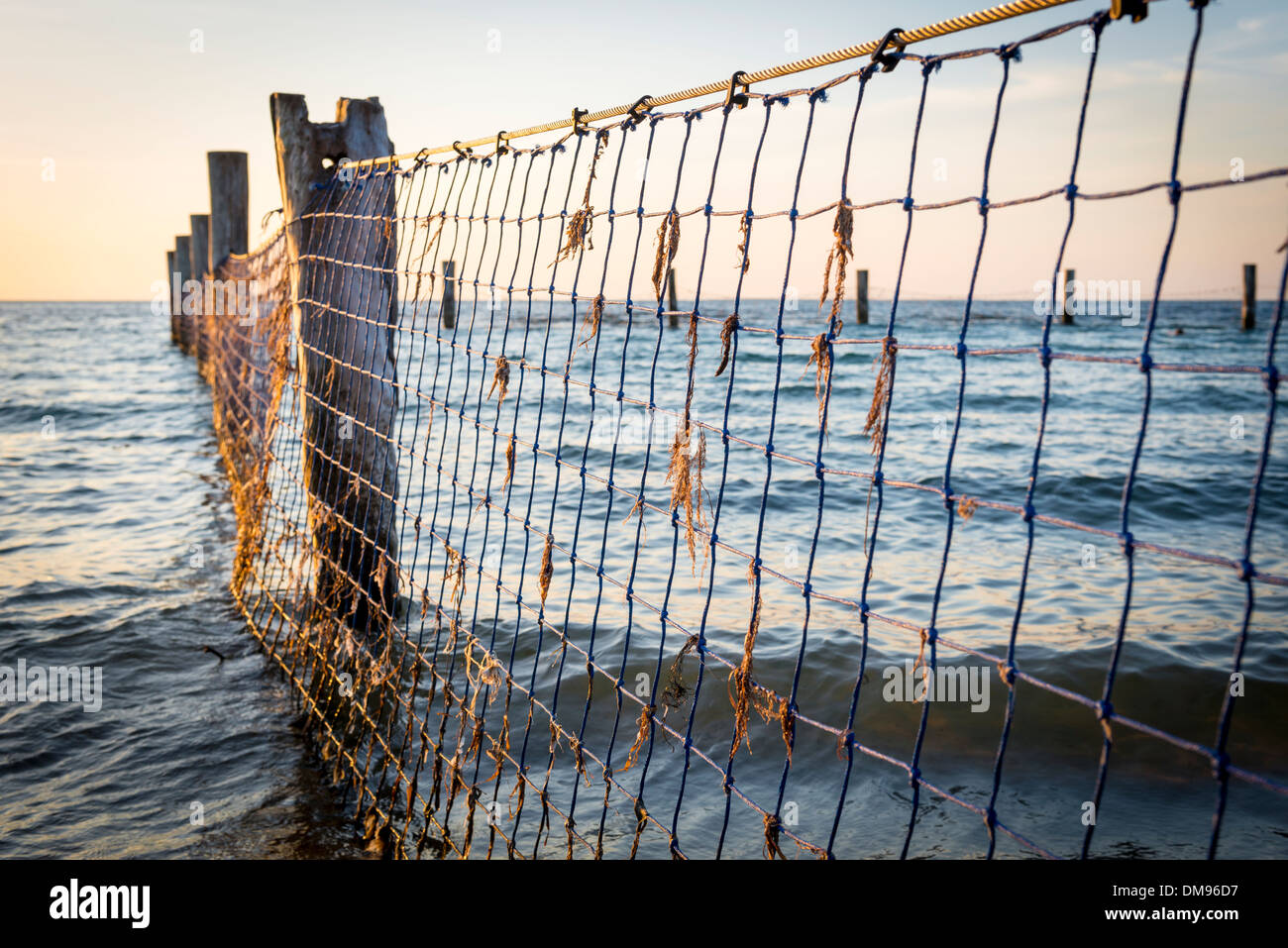 Netting between old wooden posts at the seaside Stock Photo - Alamy