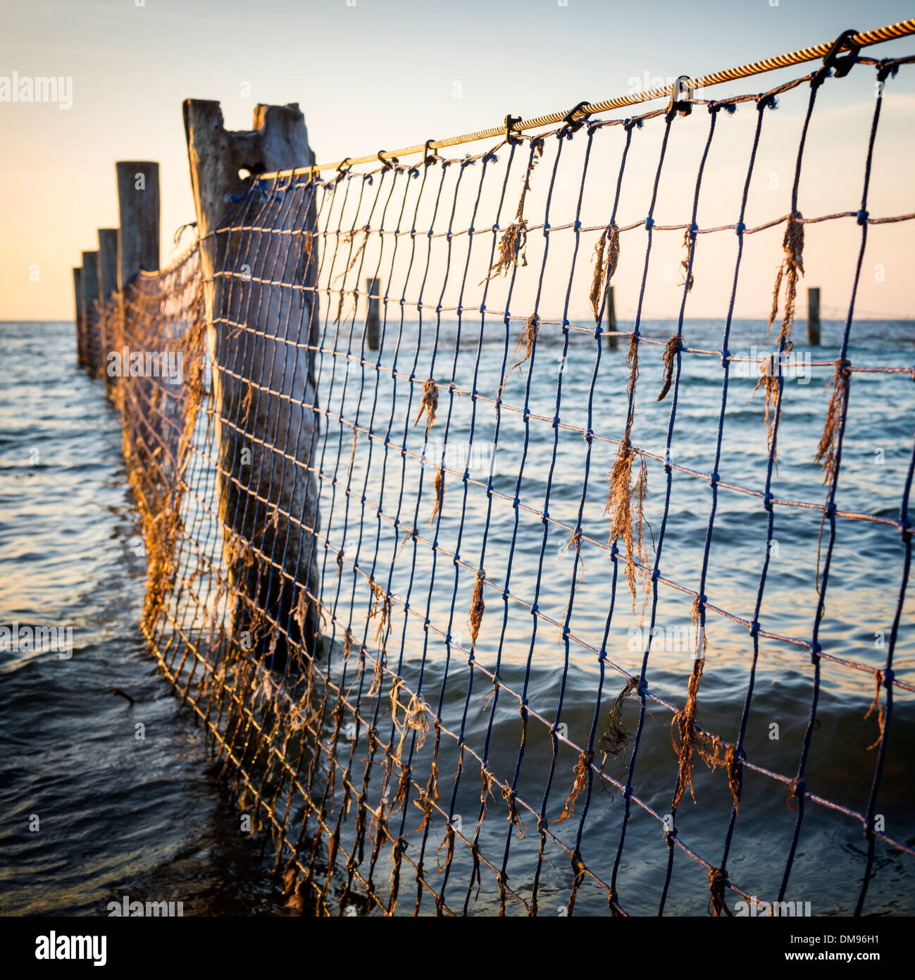 Netting between old wooden posts at the seaside Stock Photo - Alamy