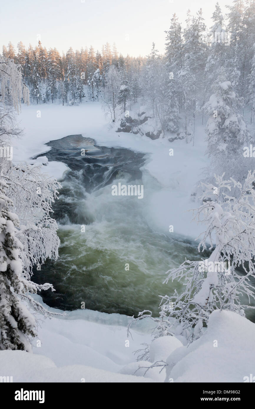 Forest river finland hi-res stock photography and images - Alamy