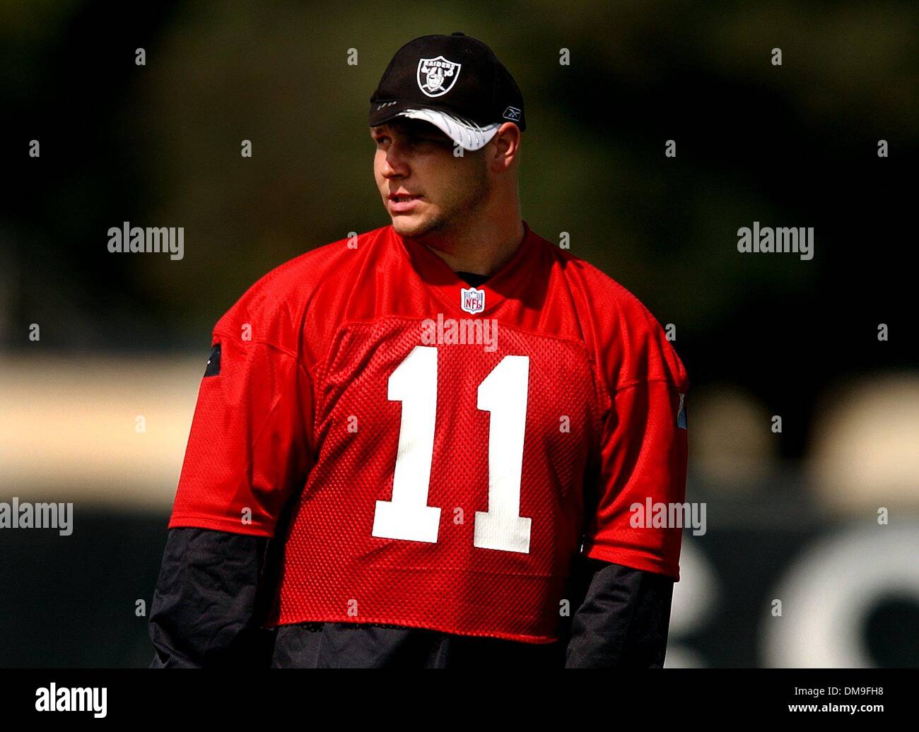 Sebastian Janikowski Dip