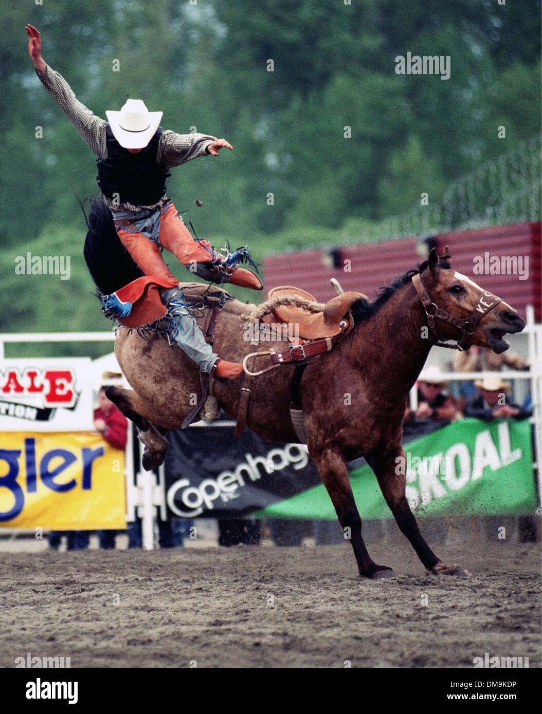 May 21, 2005 - Cloverdale, British Columbia, Canada - Cowboy competes ...