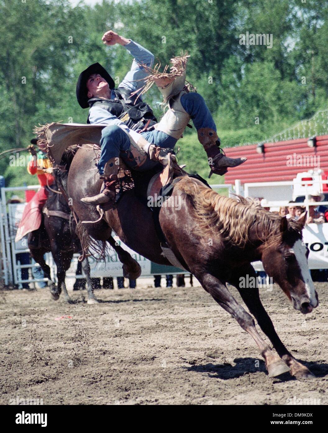 May 21, 2005 - Cloverdale, British Columbia, Canada - Cowboy competes ...
