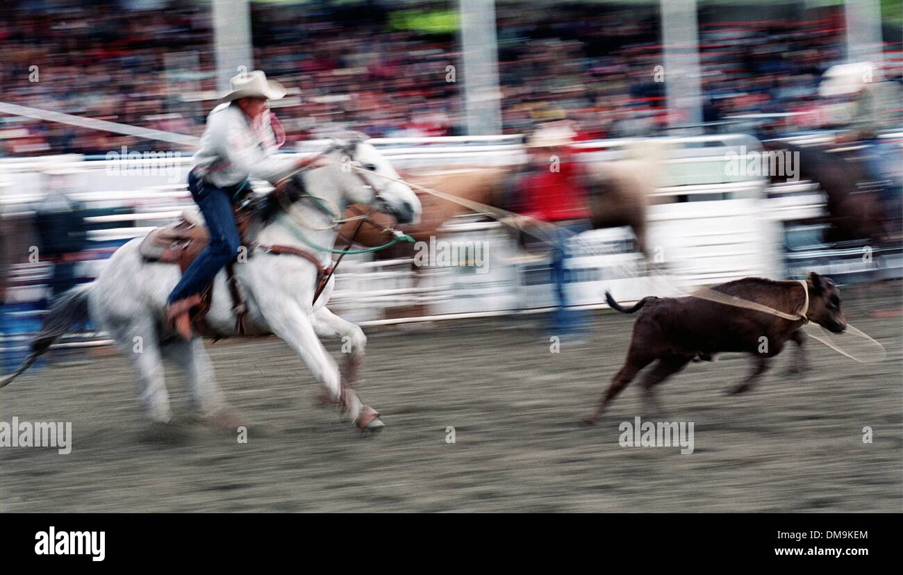 May 21, 2005 - Cloverdale, British Columbia, Canada - Cowboy competes ...