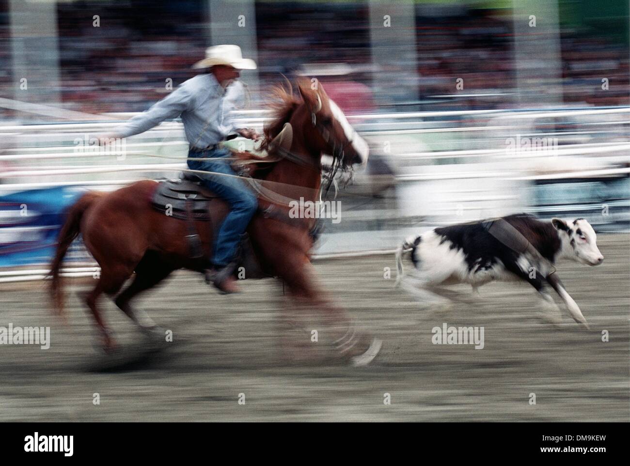 British columbia rodeo association hi-res stock photography and images ...
