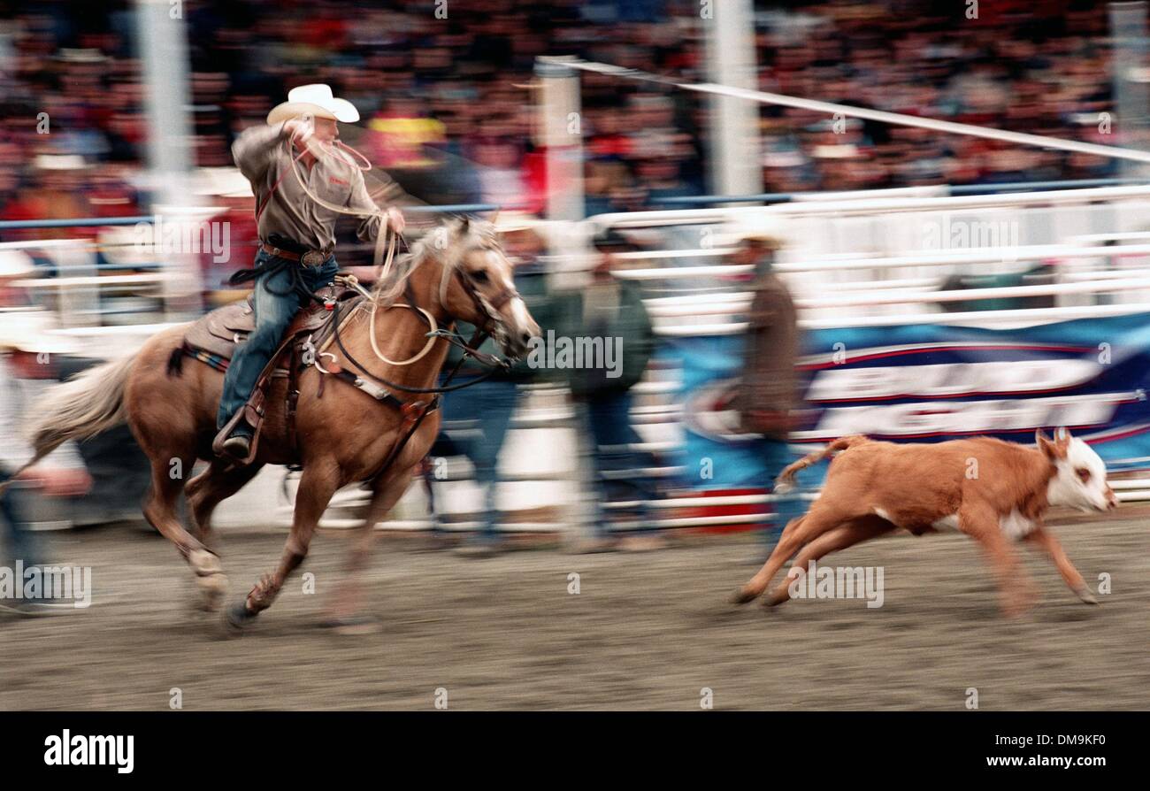 British columbia rodeo association hi-res stock photography and images ...