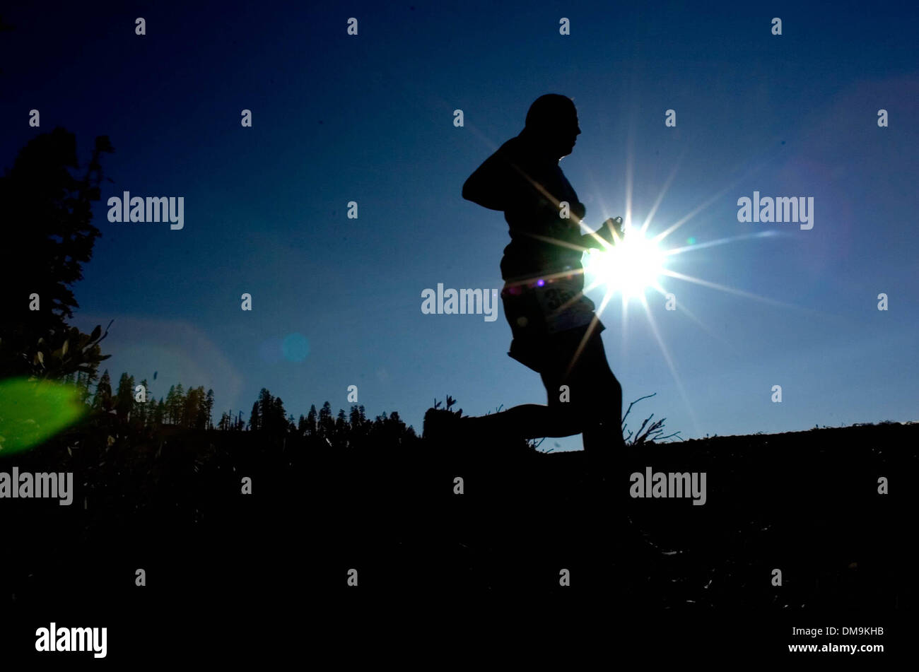 Repta hi-res stock photography and images - Alamy