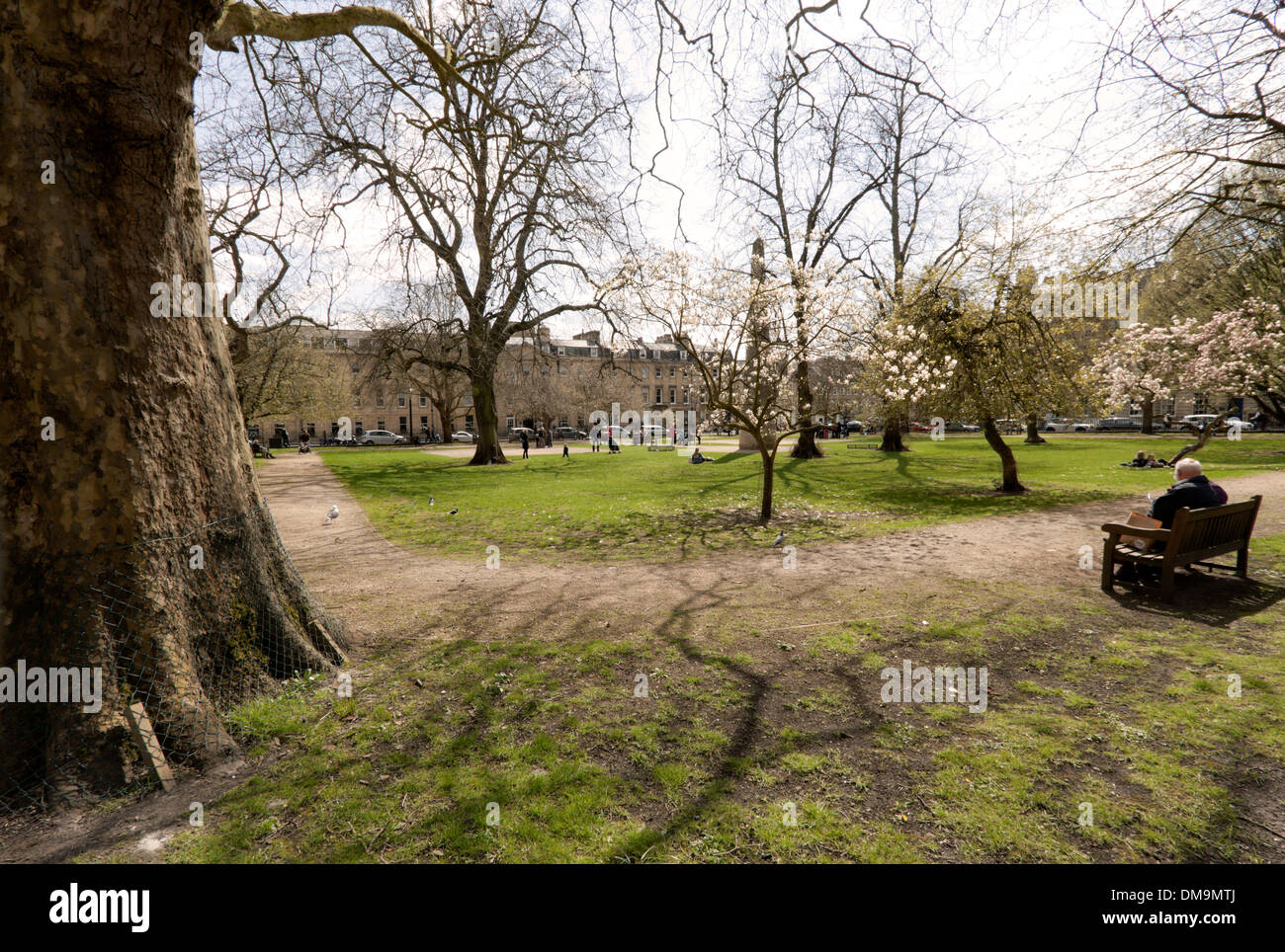 Spring in the central garden of Queen Square, Bath, Somerset, England ...