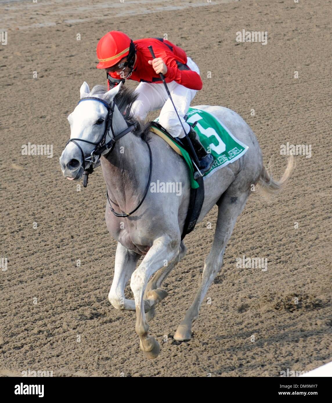 Aug 22, 2009 - Saratoga Springs, New York, USA - 10th race, the 129th ...