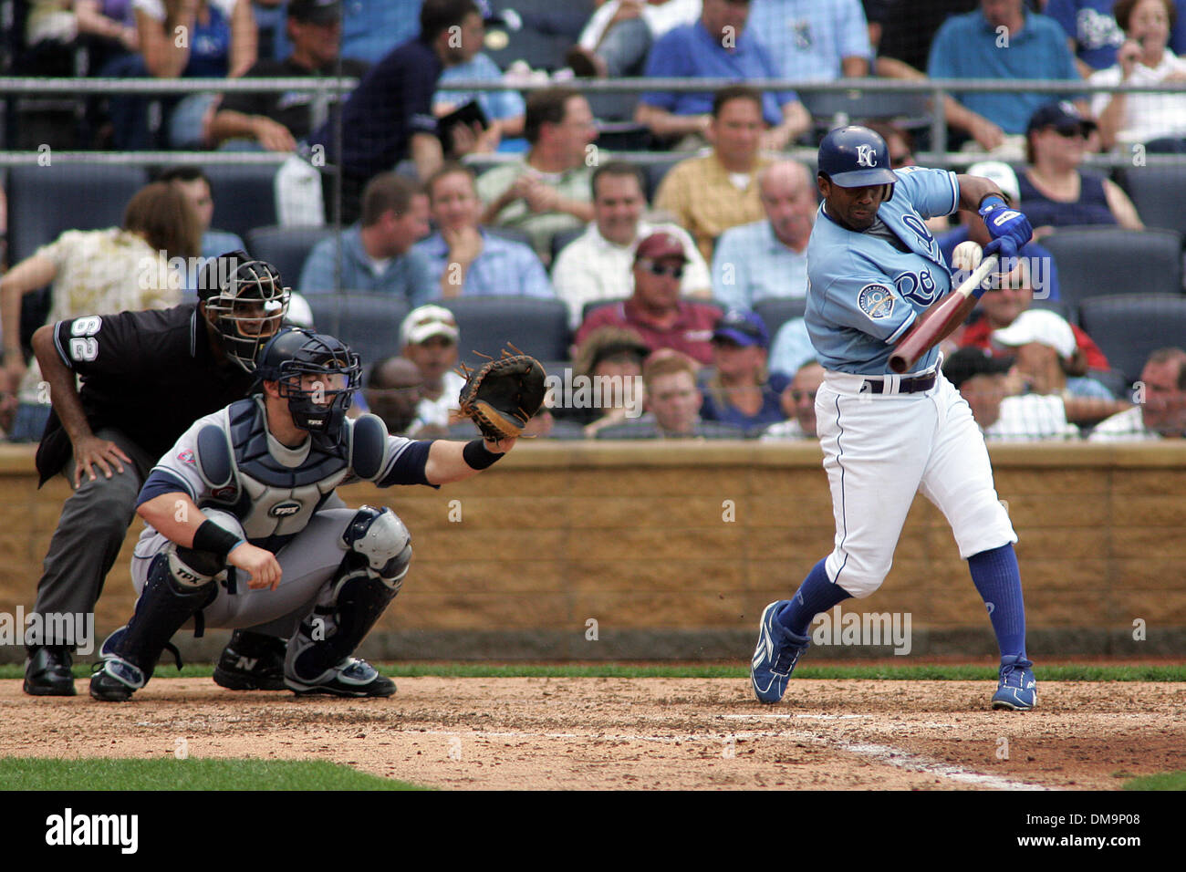 26 August 2009: Kansas City Royals second baseman Alberto Callaspo ...