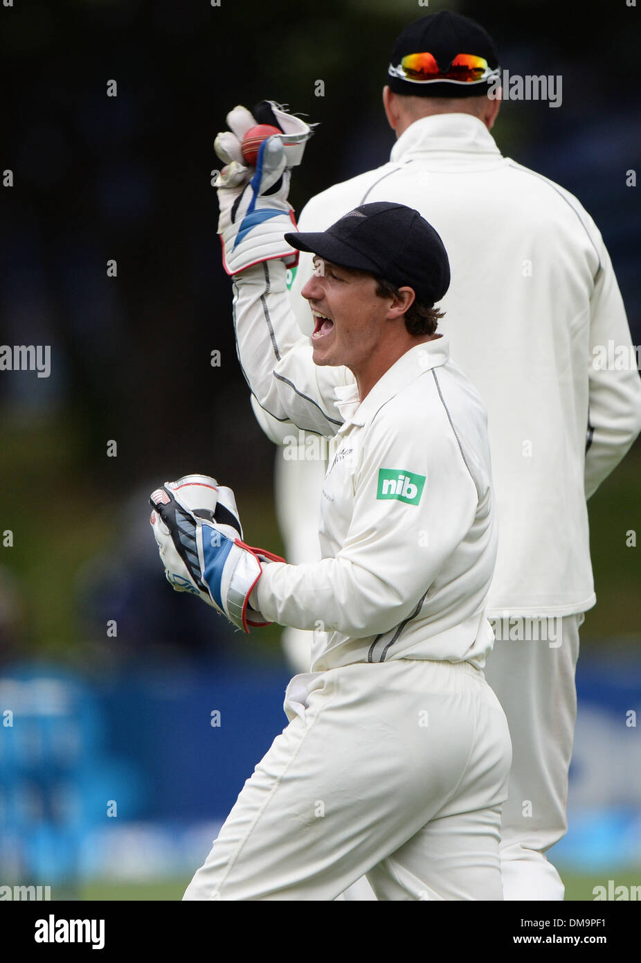 Wellington, New Zealand. 13th Dec, 2013. BJ Watling celebrates the ...