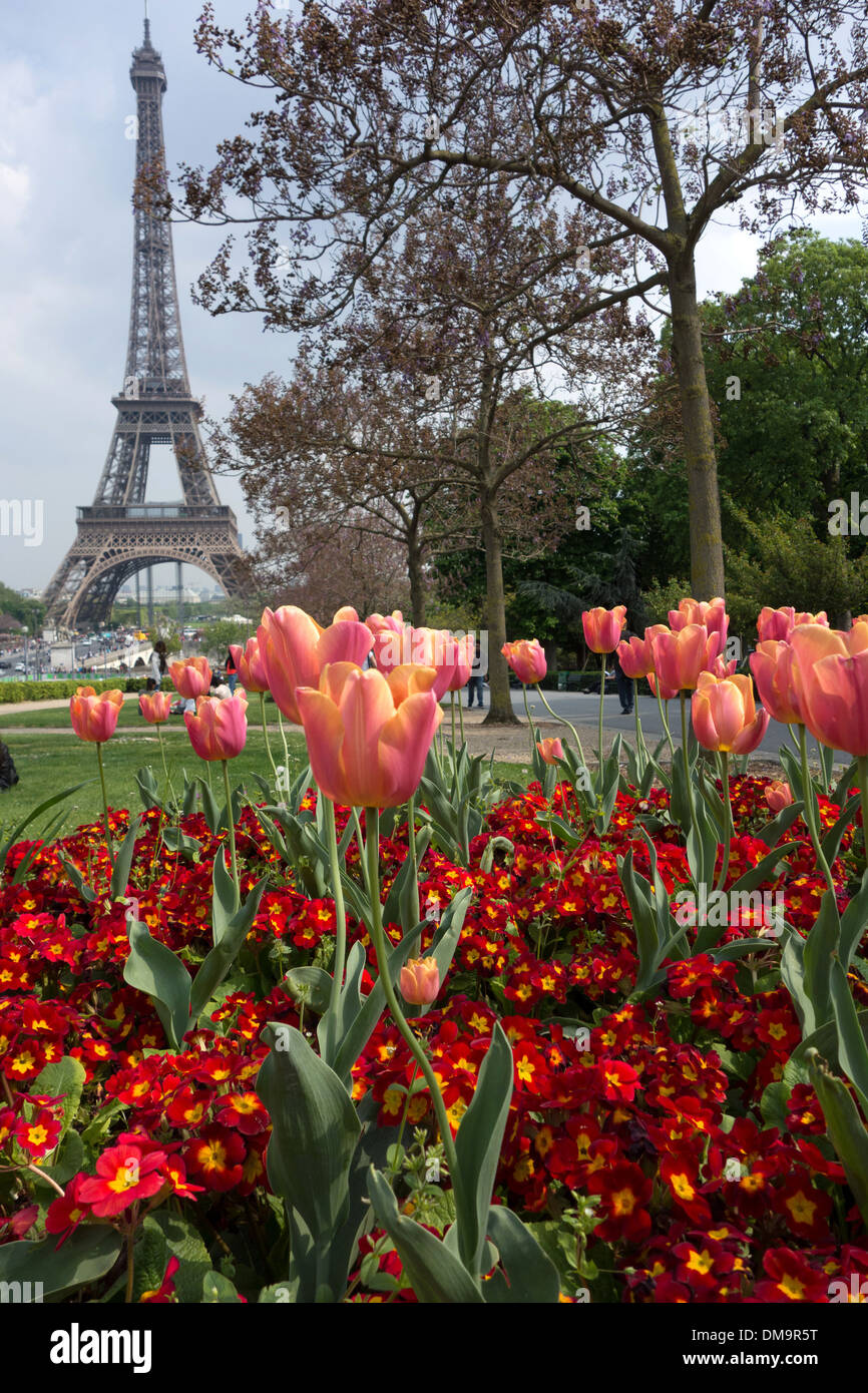 TULIPS IN THE TROCADERO GARDEN AND THE EIFFEL TOWER, PARIS, 16TH ...