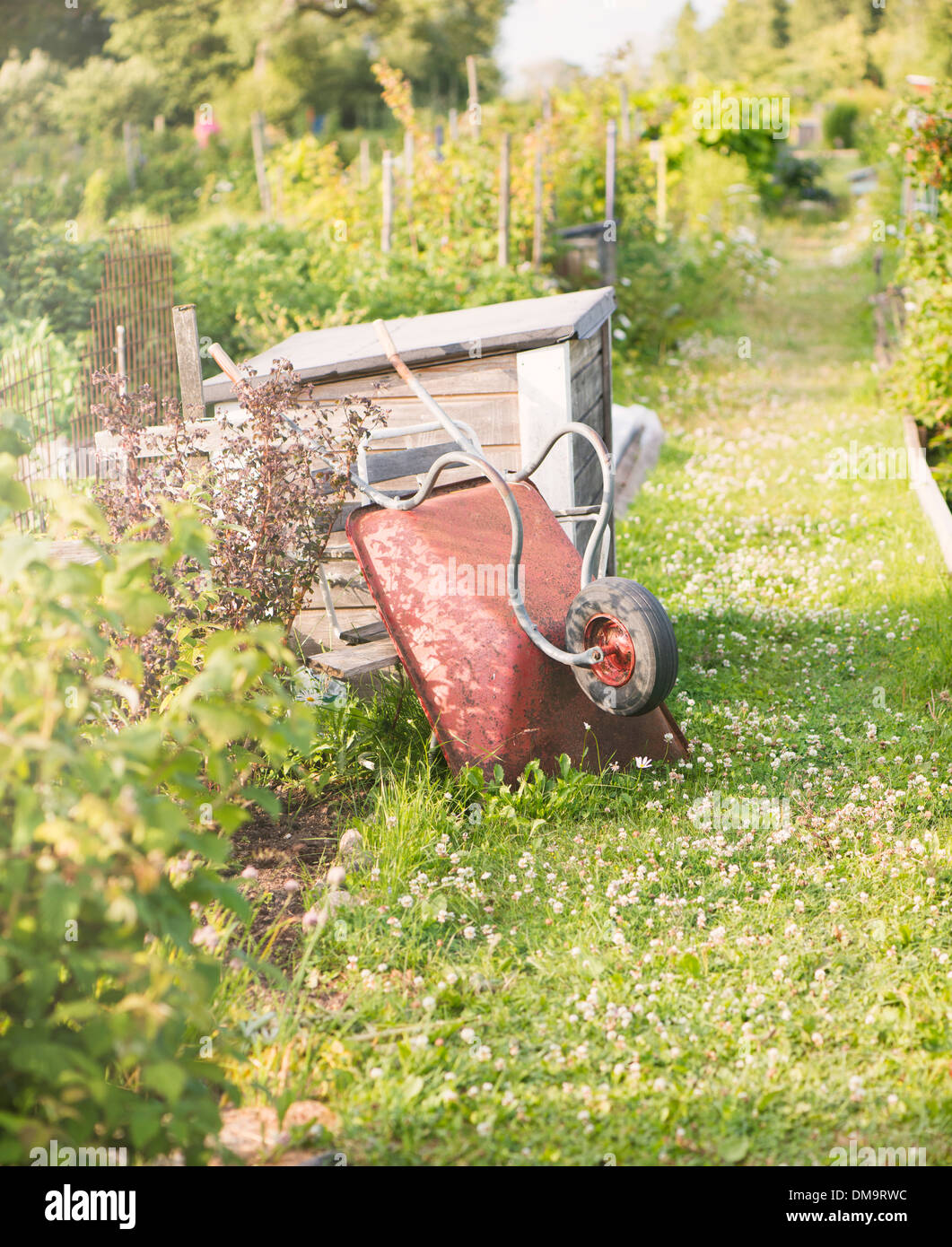 Empty garden hi-res stock photography and images - Alamy