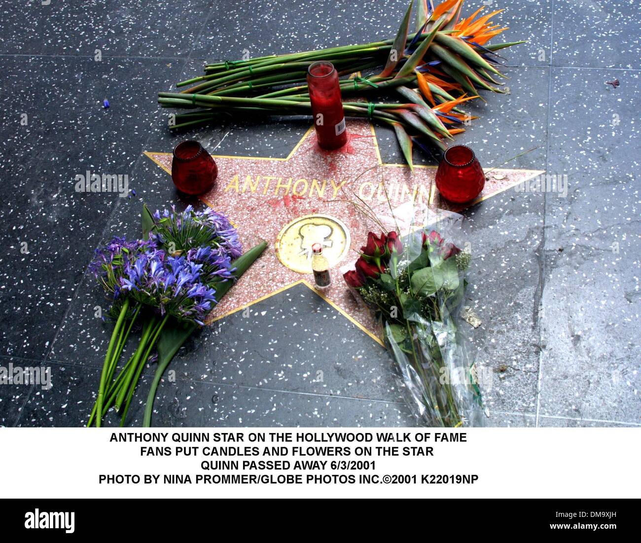 June 5, 2001 - ANTHONY QUINN STAR ON THE HOLLYWOOD WALK OF FAME.FANS ...
